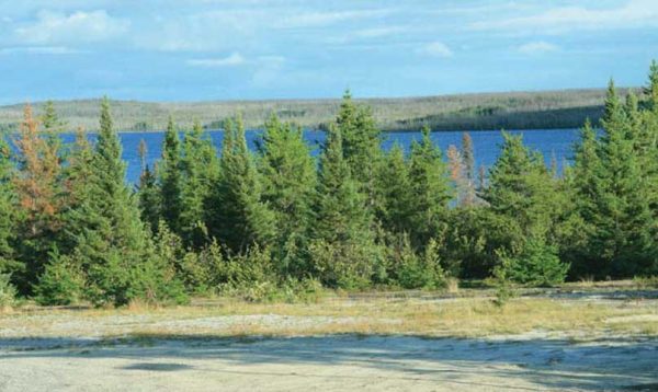 Dip Your Hands into the Water of James Bay | RV Lifestyle Magazine