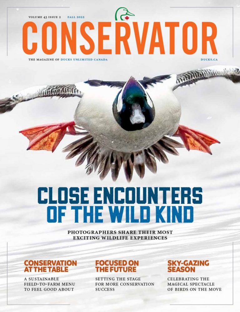 Close encounters of the wild kind | RV Lifestyle Magazine