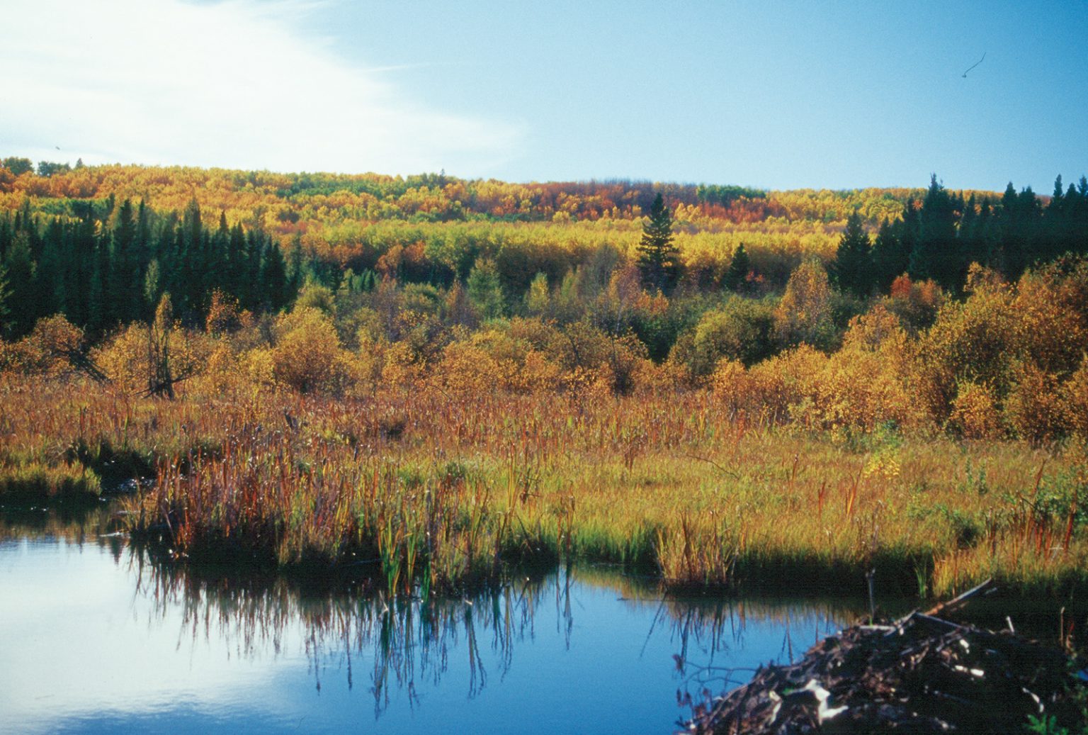 Discovering Saskatchewan’s Prince Albert National Park | RV Lifestyle ...