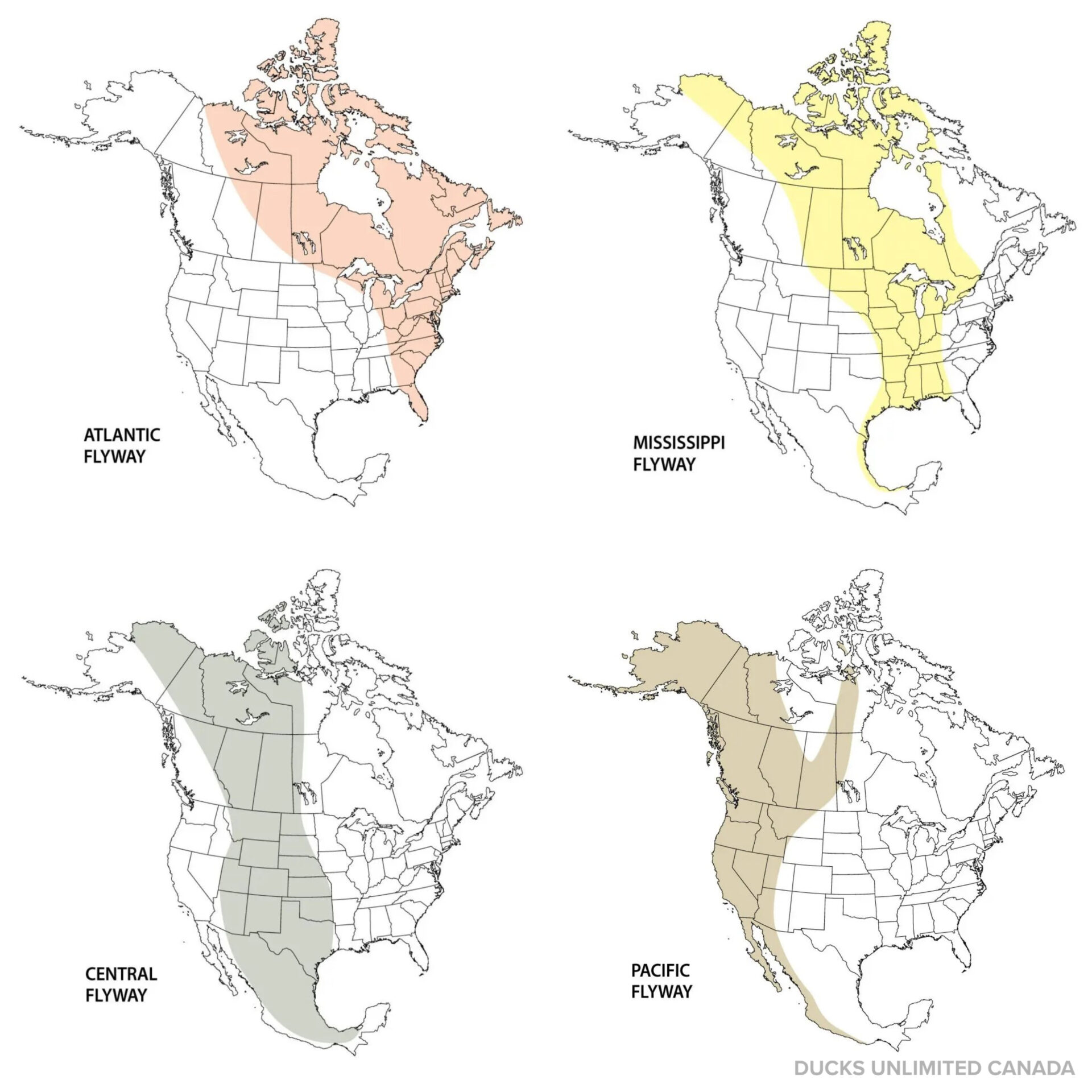 Highways in the Sky | RV Lifestyle Magazine