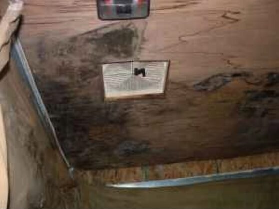 How to Mold-Proof Your RV | RV Lifestyle Magazine
