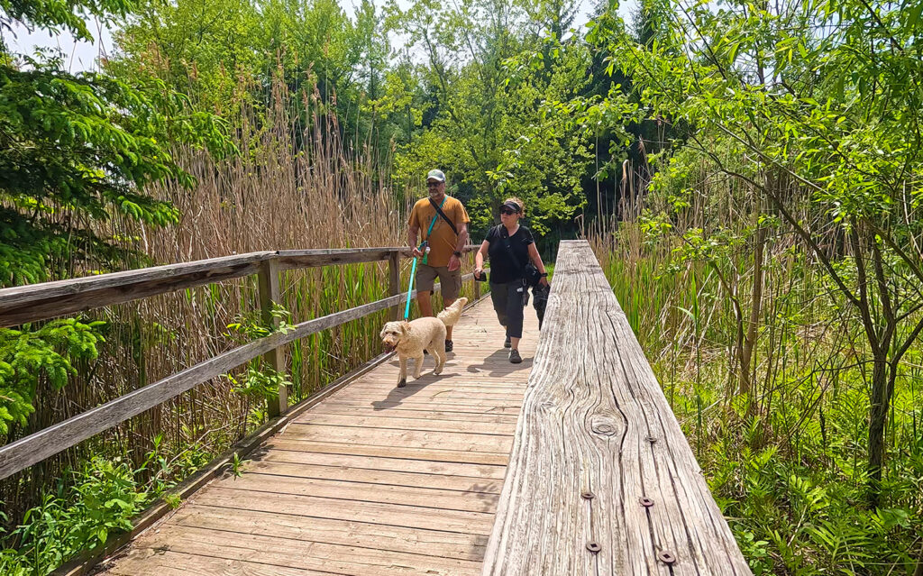 No time for camping? Try a Conservation Area | RV Lifestyle Magazine
